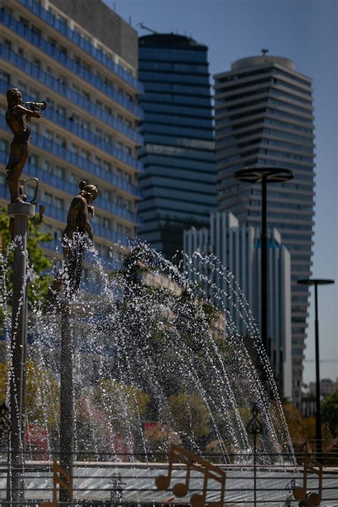 გარემოს დაცვის საქალაქო სამსახური დედაქალაქის მერიის გარემოს დაცვის საქალაქო სამსახურმა