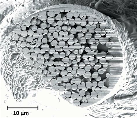 Sem Image Of The Fib Slicing Surface Used For Determination Of The