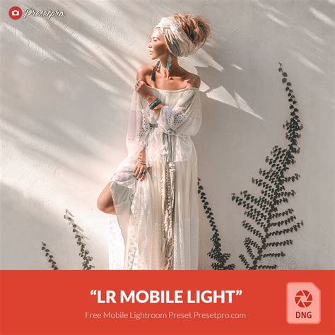 Free Mobile DNG Preset For Lightroom Light Bright Presetpro Com