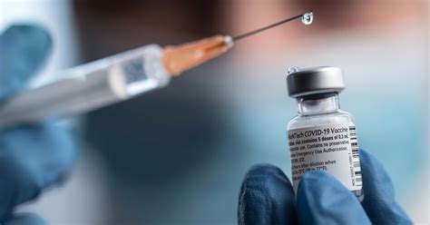 Racgp Anaphylaxis In Less Than 1 Of ‘highly Allergic After Pfizer