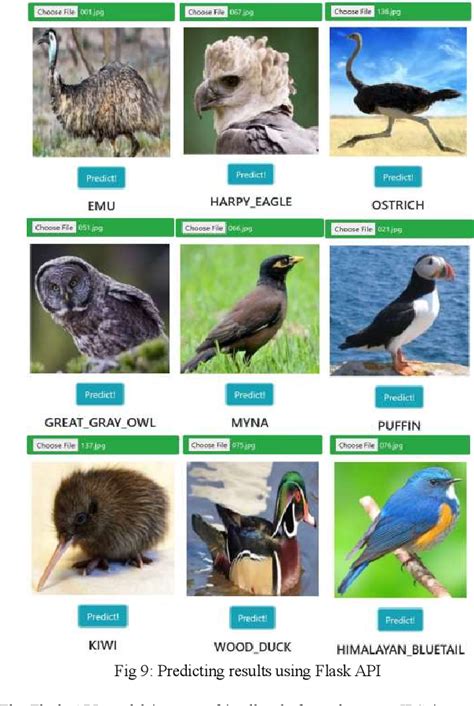 Figure 1 From Birds Species Identification Using Deep Learning Model
