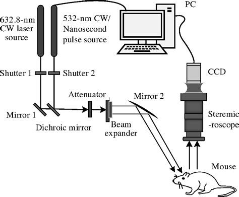 Laser Speckle Contrast Imaging System Using Nanosecond Pulse Laser Source