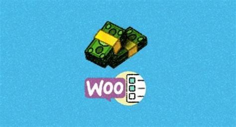 Woocommerce Custom Payment Gateway Pro 3 1 1