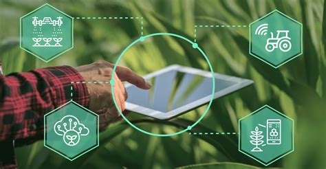 Smart Farming And Precision Agriculture Using IoT CitrusDev