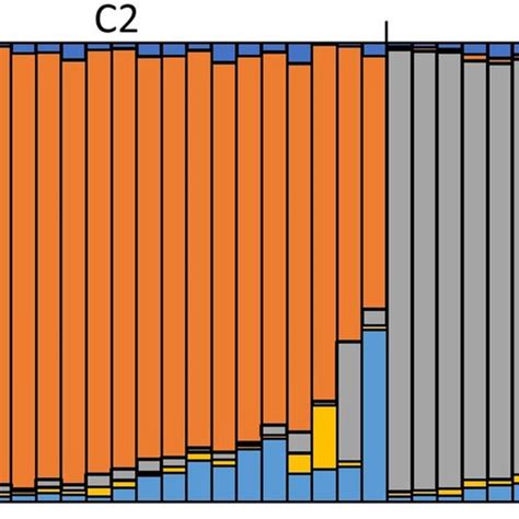 Estimated Population Structure Of The Apricot Varieties Each Variety