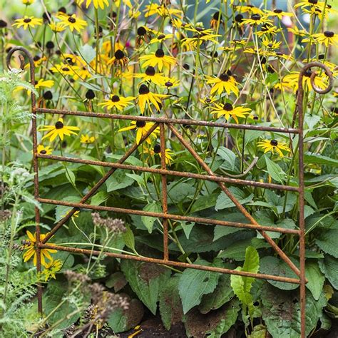 Buy Metal Ornate Border Panel Rust