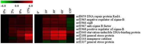 Alterations In Sigb And Sigb Regulon Related Genes Expression Profiles Download Scientific