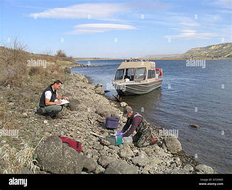 Aquifer Sampling Tubes At Hanford Part Of Pnnls Environmental