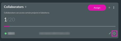 Titans Salesforce Solution How To Assign Collaborators