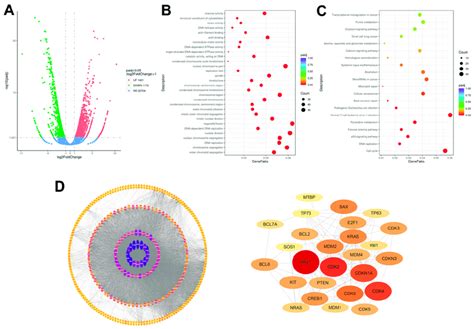 Transcriptomic Analysis Of Human Lung Adenocarcinoma A549 Cells Upon