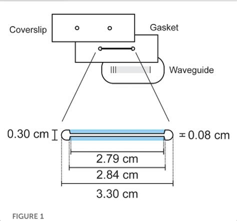 Figure 1 From Amplification Free Nucleic Acid Detection With A Fluorescence Based Waveguide