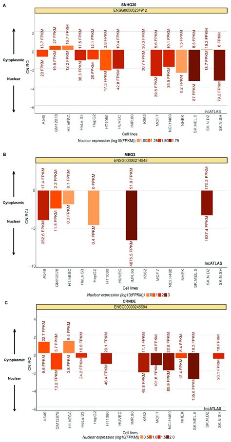 Subcellular Localization Of Lncrnas As Obtained From Lncatlas Database