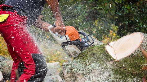 Best Tree Cutting Methods Marquis Tree Service