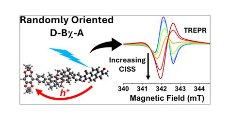 Detecting Chirality Induced Spin Selectivity In Randomly Oriented Radical Pairs Photogenerated