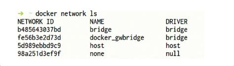 The Intricacies Of Docker Networking Open Source For You