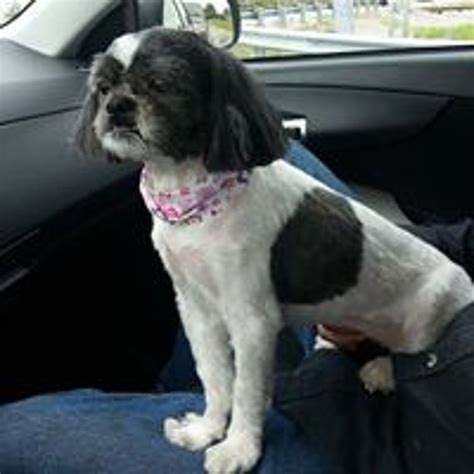 Stream Lisa Wright Richardson Music Listen To Songs Albums