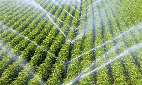 ทำความรู้จัก “ระบบการให้น้ำพืชแบบอัตโนมัติ ปั๊มบ้าน