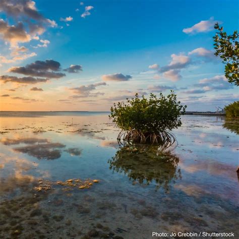 Dr D K Soni On Linkedin Sustain And Help To Sustain Someone