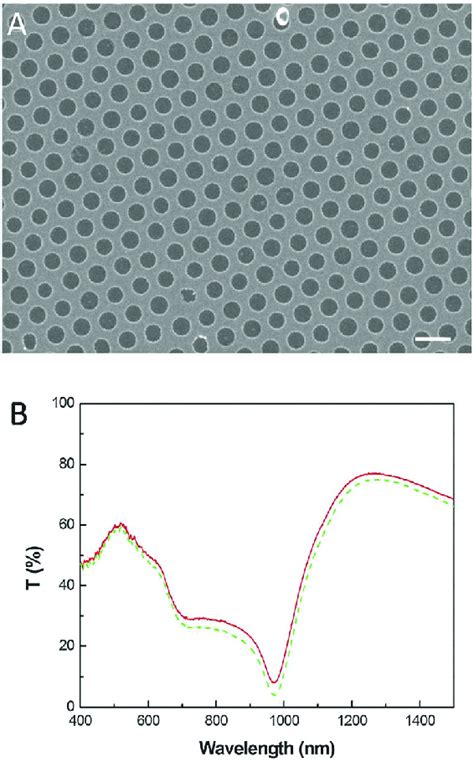 a sem image of a gold nanohole array transferred from an aluminum