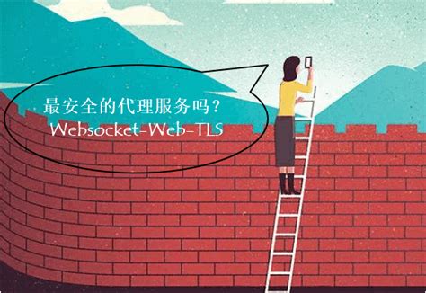 最新最安全代理服务搭建（websocket web tls） 知乎