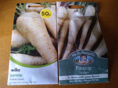 How To Grow Parsnips From Seeds Garden Veggies Vegetable Gardening Vegetables Growing