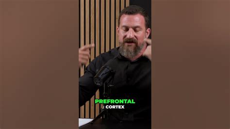 Unlocking The Anterior Mid Singulate Cortex A Neuroscience