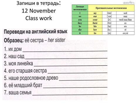 Притяжательные местоимения в английском языке 3 класс презентация онлайн