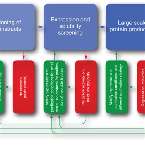 Workflow And Subroutines Chart Of The Coss Platform The Individual