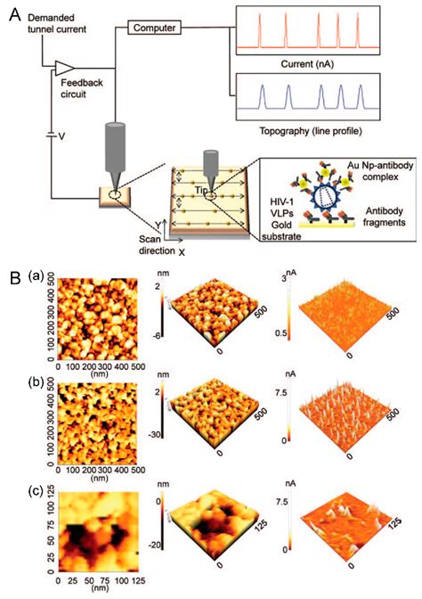 Sensors Special Issue Biosensors For Pathogen Detection