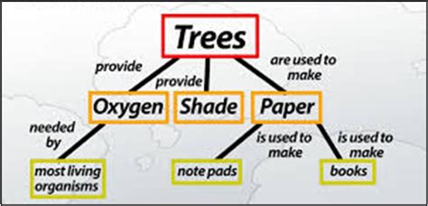 Mapping Diagram Mapping Function Mapping Diagram Worksheet