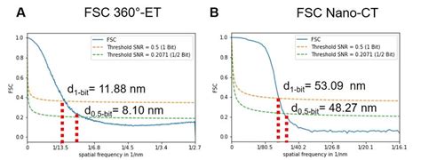 11 3d Resolution Calculation By Fsc Of The Identical Location
