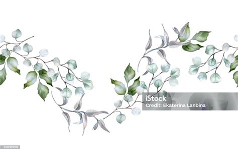 물결 모양의 녹지 완벽 한 테두리 세이지 그린 색상 수채화 절연 부드러운 녹색 잎 홀리 유칼립투스 가지 매력적인 덩굴 손으로