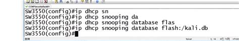 Cisco Dhcp Snooping Csdn博客