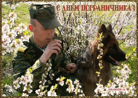 Картинки с Днем Пограничника | ТОП Картинки