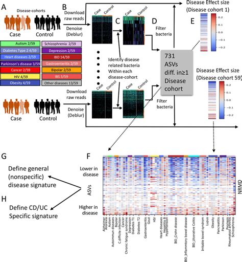 Meta Analysis Pipeline We Reanalyzed 12838 Human Gut Samples Download Scientific Diagram