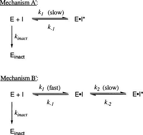 Scheme 2 E Inact Inactive Enzyme Download Scientific Diagram
