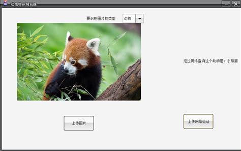 基于百度图像识别sdk开发植物识别系统 听风1234 博客园