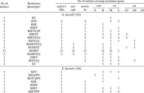 Prevalence Of Antibiotic Resistance Genes In E Faecalis And E Faecium
