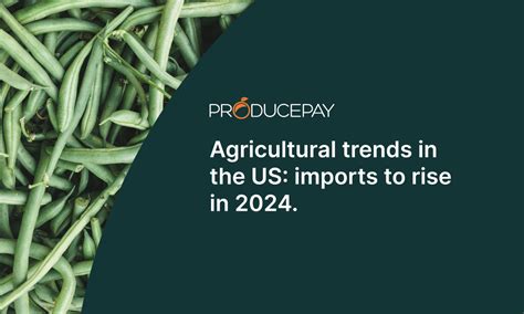 Us Fresh Fruit And Vegetable Imports Set To Grow In 2025 Producepay