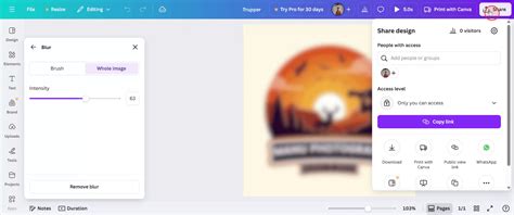 How To Blur In Canva 1 Minute Video Guide