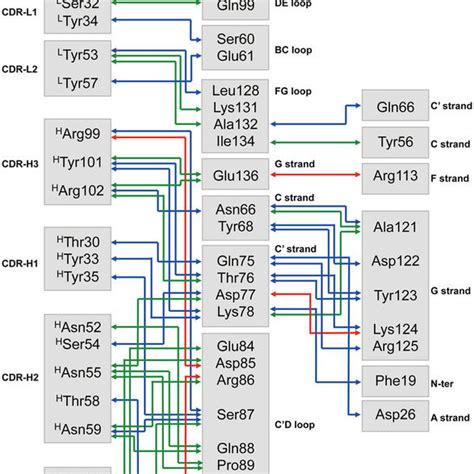 Structure Of The Pembrolizumabpd 1 Complex And Comparison With The
