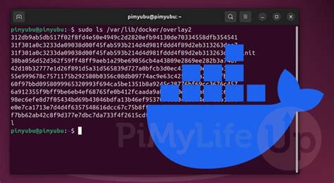 Where Docker Images Are Stored On Linux Pi My Life Up