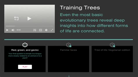 Watch The Training Trees Video First