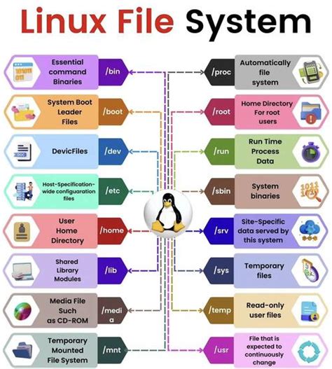 深入剖析linux文件目录体系：根目录的关键作用与深远意义 Linux命令大全手册