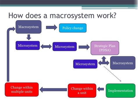 Macrosystems