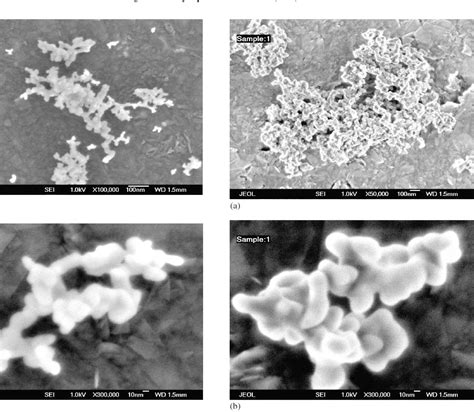 Table 2 From Polymer Coating Encapsulation Of Nanoparticles Using A Supercritical Anti Solvent
