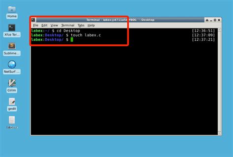 Hands On Coding Practice Labex Virtual Environment Labex