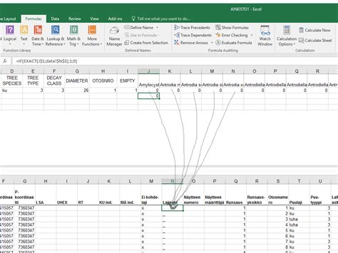 Microsoft Excel Ifexact Referencing To Absolute Cell With