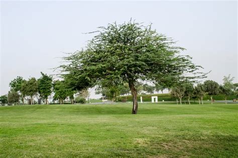 Premium Photo Summer Tourism Travel Nature Green Beautiful View